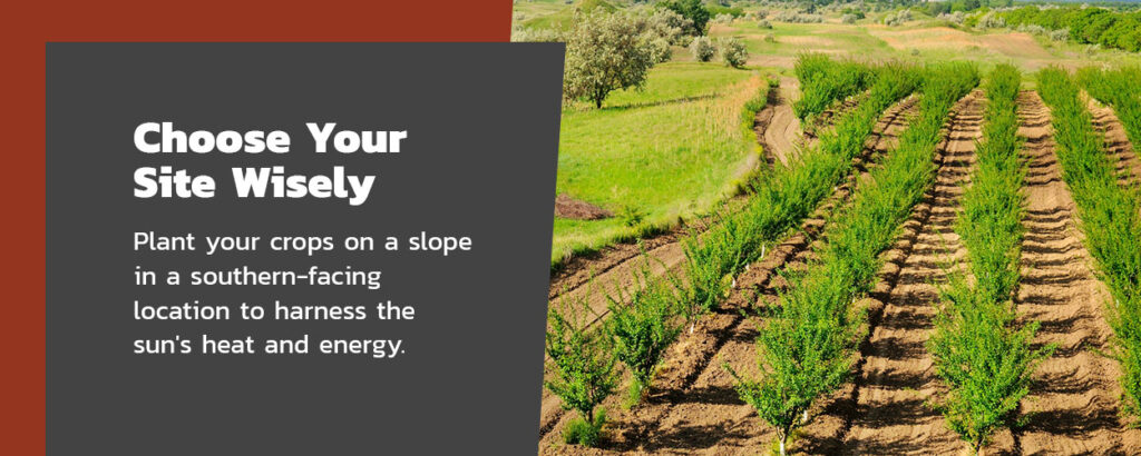 Protecting Your Crops From Frost: 8 Tips and Tricks | Pequea