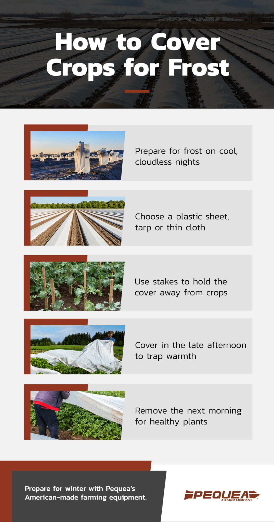 Protecting Your Crops From Frost: 8 Tips and Tricks | Pequea