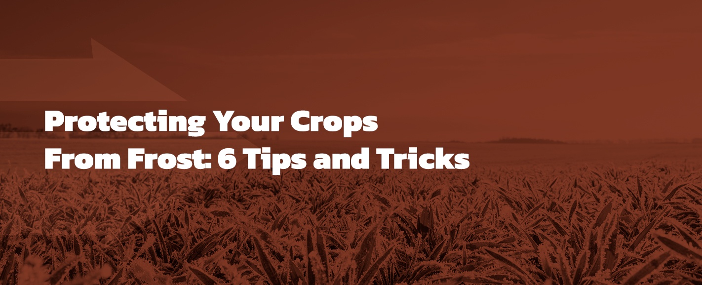 Protecting Your Crops From Frost: 8 Tips and Tricks | Pequea
