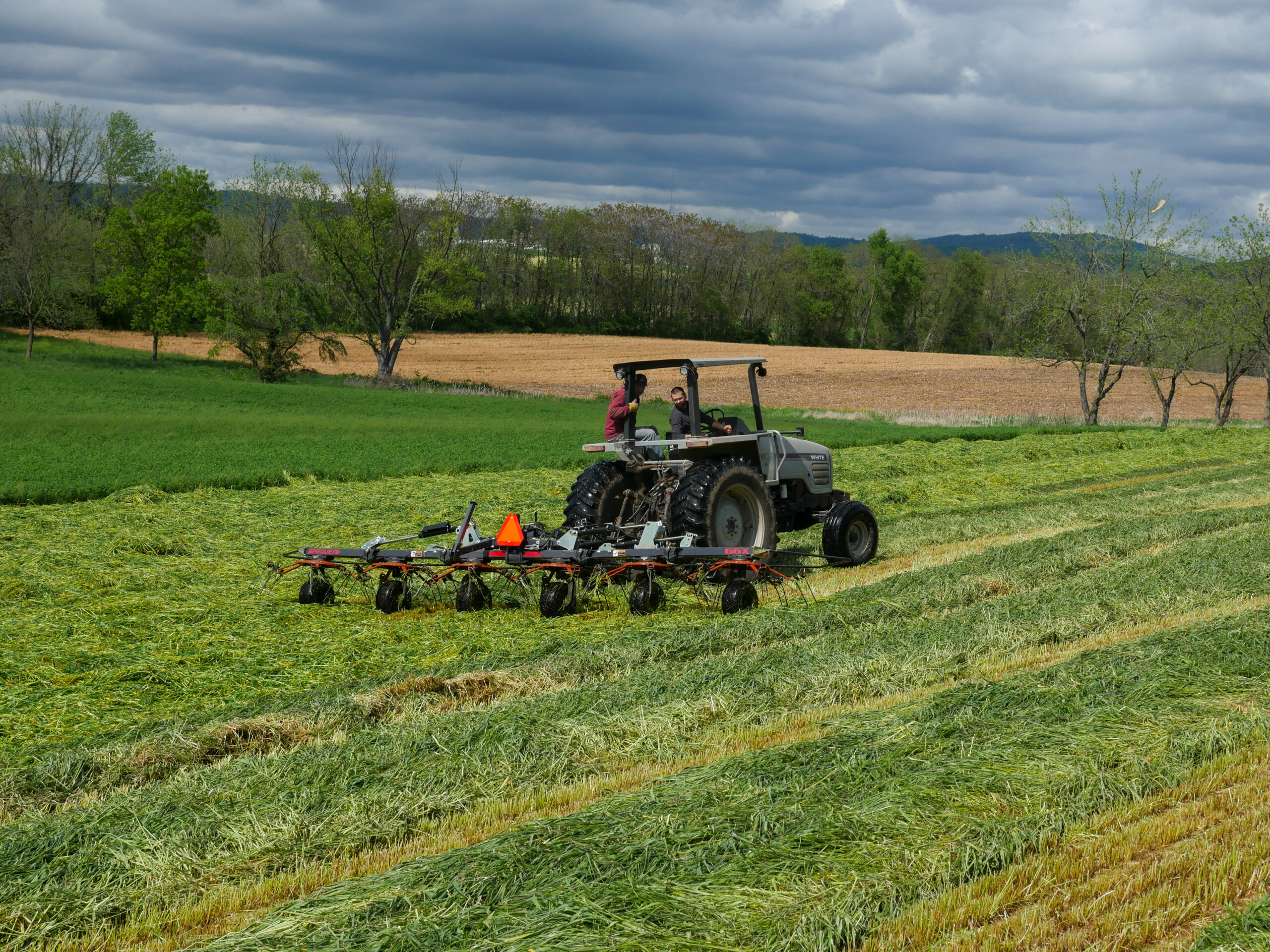 66X Series Tedder | 24' Working Width | Pequea Machinery