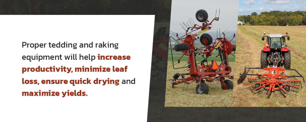 Common Hay Raking Issues and Solutions | Pequea Machinery